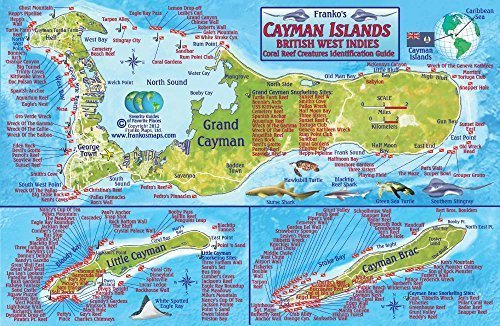 [Curacao Dive Map & Reef Creatures Guide Franko Maps Laminated Fish ...