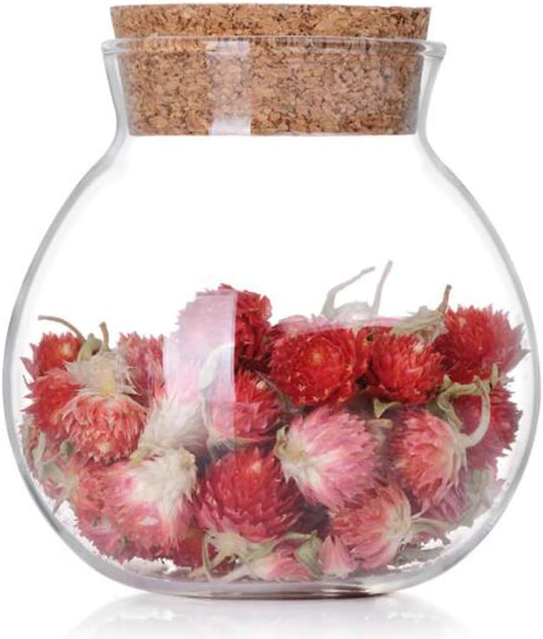 Bocal rond hermétique en verre transparent avec bouchon en liège ...