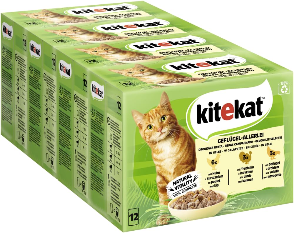 Kite Kat Cat Food Poultry Variety in Jelly : Amazon.de: Pet Supplies