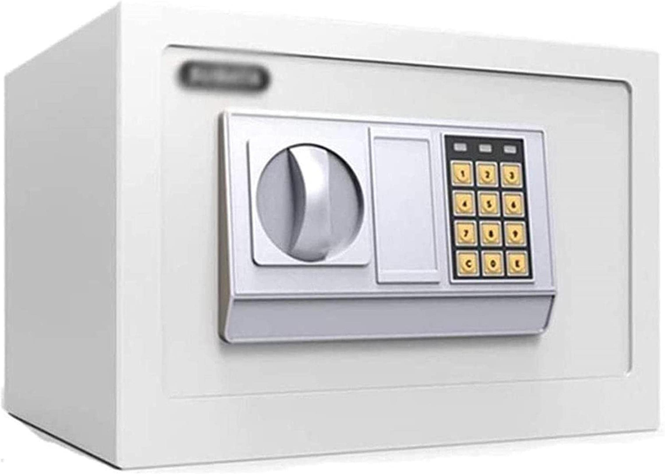 Home Safe Deposit Box