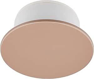 Amazon.co.jp: 大光電機 DAIKO LEDアウトドアライト LED内蔵 LED 6.5W 電球色 2700K 防雨・防湿形 電気工事必要 ホワイト DWP-41601Y ...