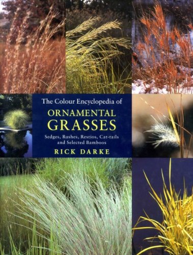 Colour Encyclopedia of Ornamental Grasses : Sedges, Rushes, Restios ...