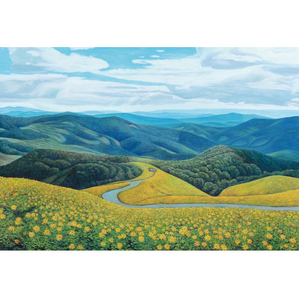 Grassy Hillside With Flowers