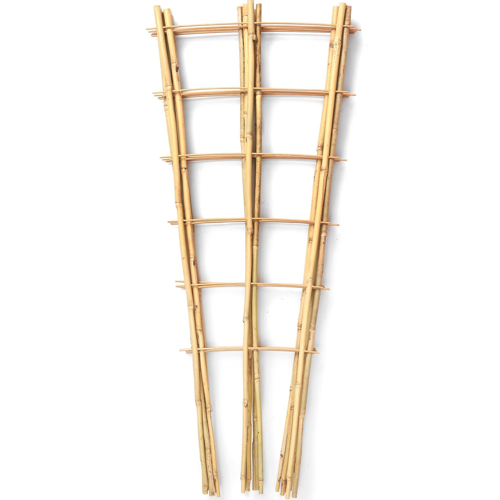 Snapklik.com : SWANGSA 5 Pack 3Ft Bamboo Trellis For Climbing Plants ...