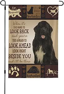 Amazon.com : Cute Newfoundland Dog Puppy Pet Lovers Vintage Style ...