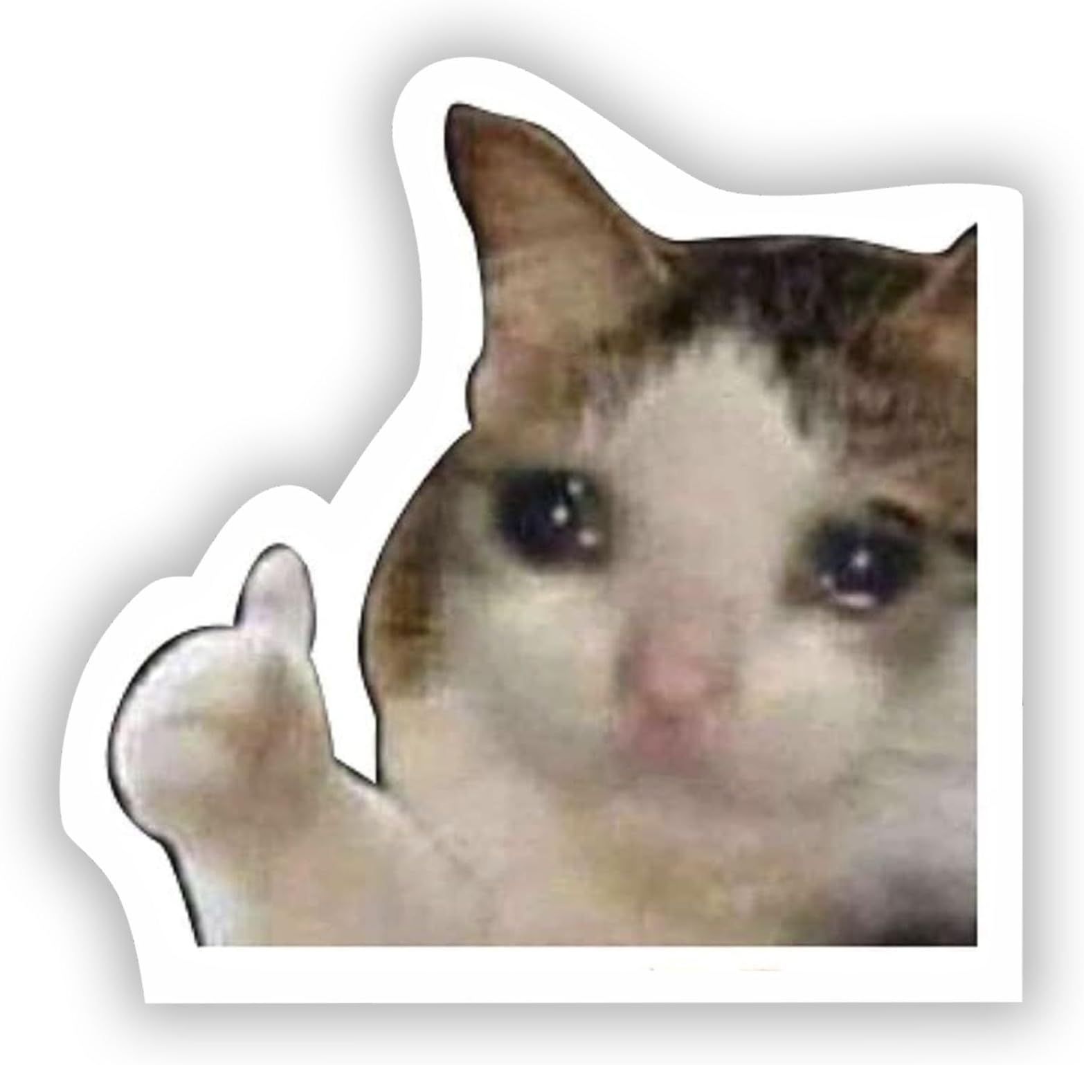 Amazon.com - Hello Kitty Crying Cat Meme Sticker Vinyl Bumper Sticker ...