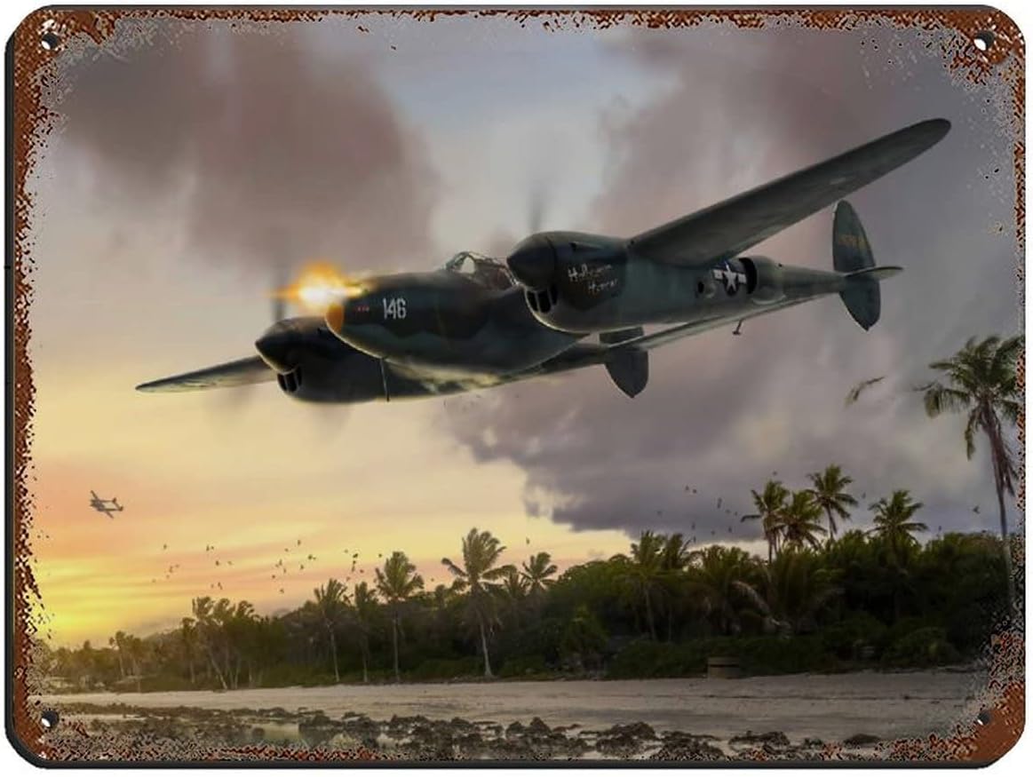 Amazon.com : TYmall Miss Behavin', Aviation Pin Up Nose Art 12X16 ...