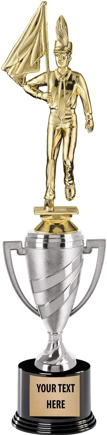 Amazon.com : Crown Awards Color Guard Trophy, 13" Silver Cup Color ...