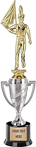 Amazon.com : Crown Awards Color Guard Trophy, 14" Silver Cup Color ...