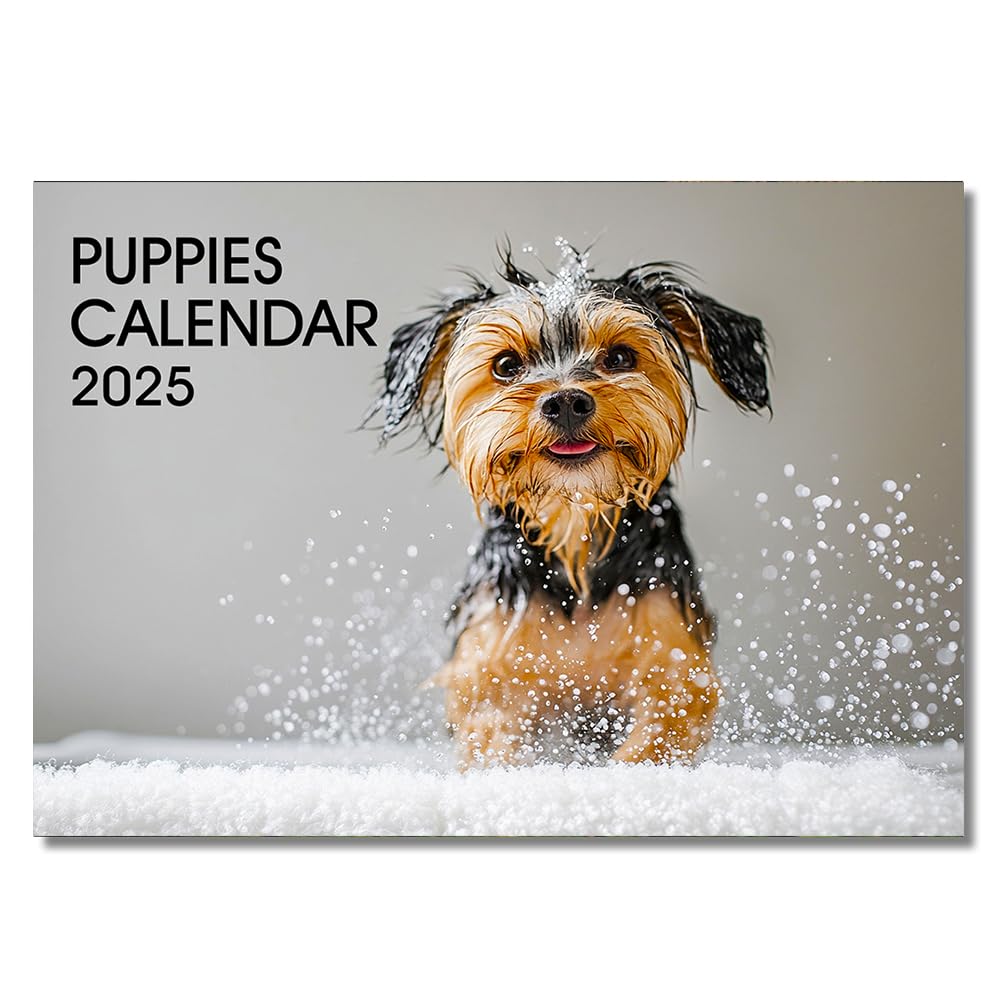 2025 Calendar UK 12 Months A4 Cute Dog Calendar 2025 Month to View ...