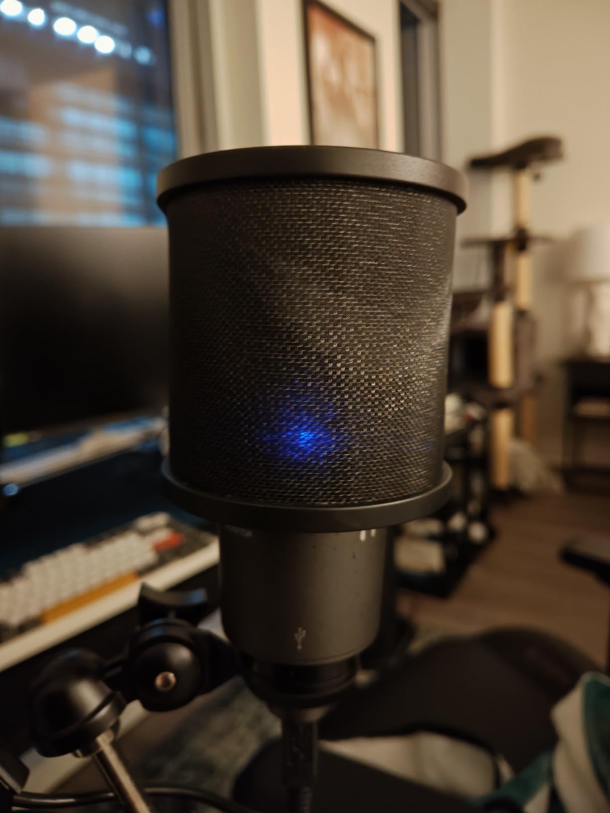 $3/mo - Finance Microphone Pop Filter for Blue Yeti,PEMOTech [Upgraded ...