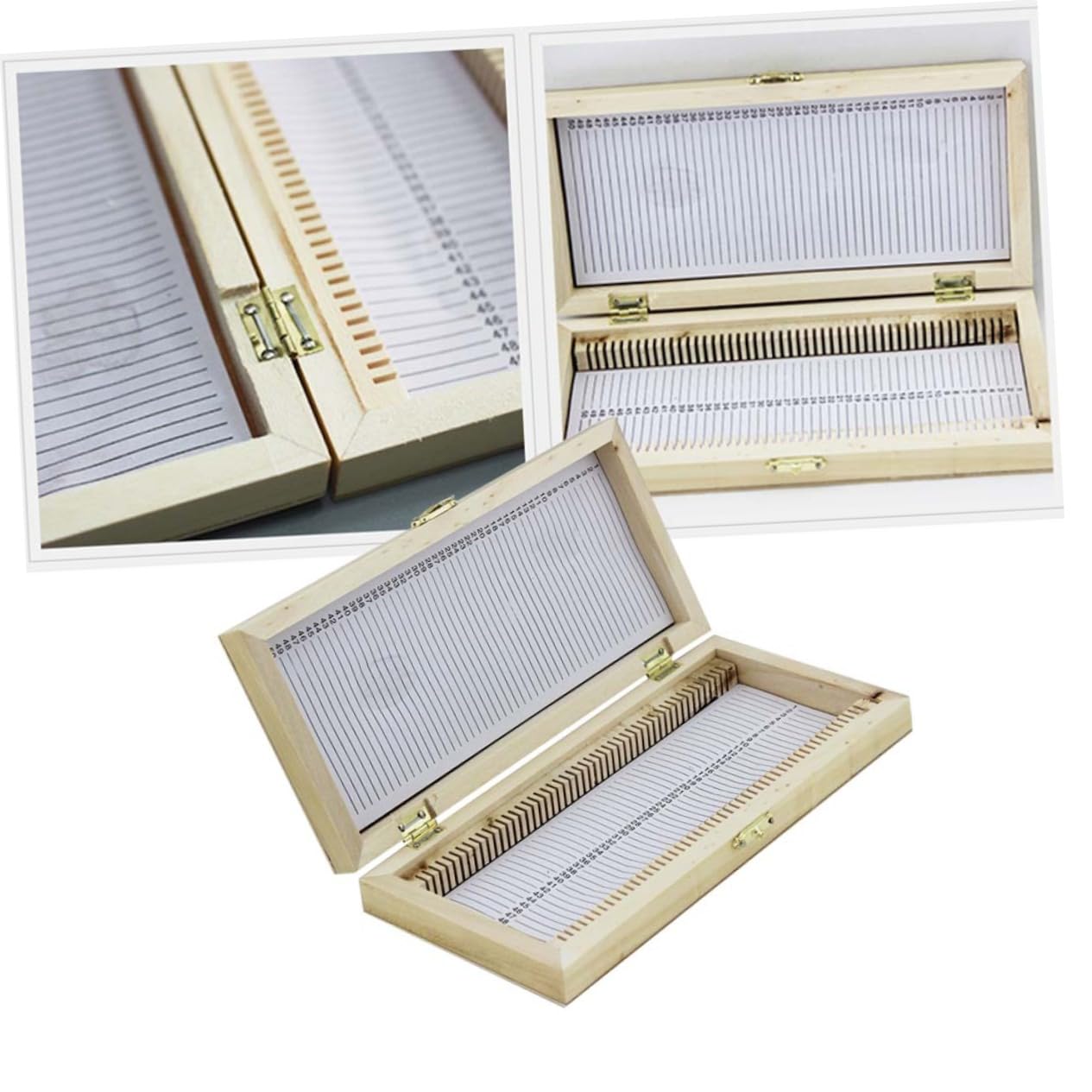 GLEAVI Box Specimen Slide Case Cajas Organizadoras Black Glass Slides ...