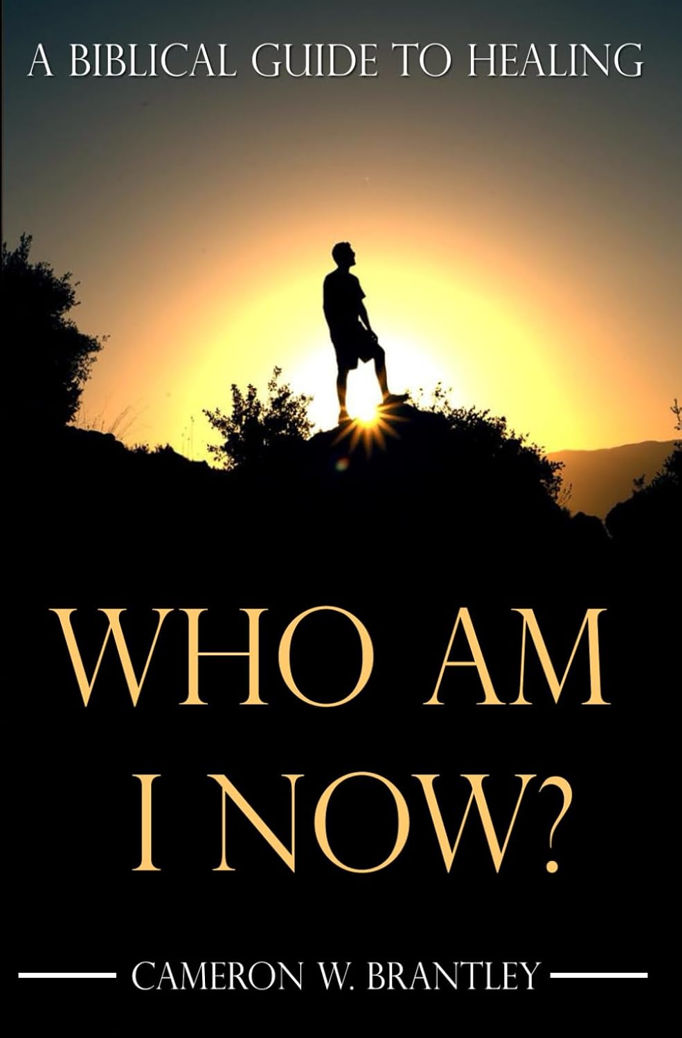 Who Am I Now?: A Biblical Guide To Healing: Brantley, Cameron W ...