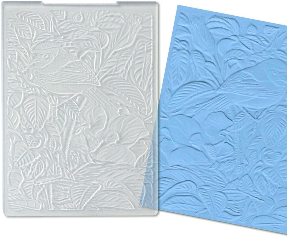 Amazon.com: Estivaux 3D Textured Birds Flowers Embossing Folders for ...