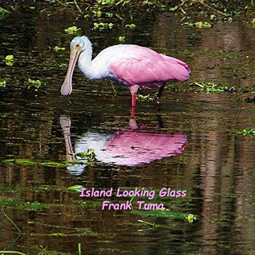 Amazon.com: Island Looking Glass : Frank Tuma: Digital Music