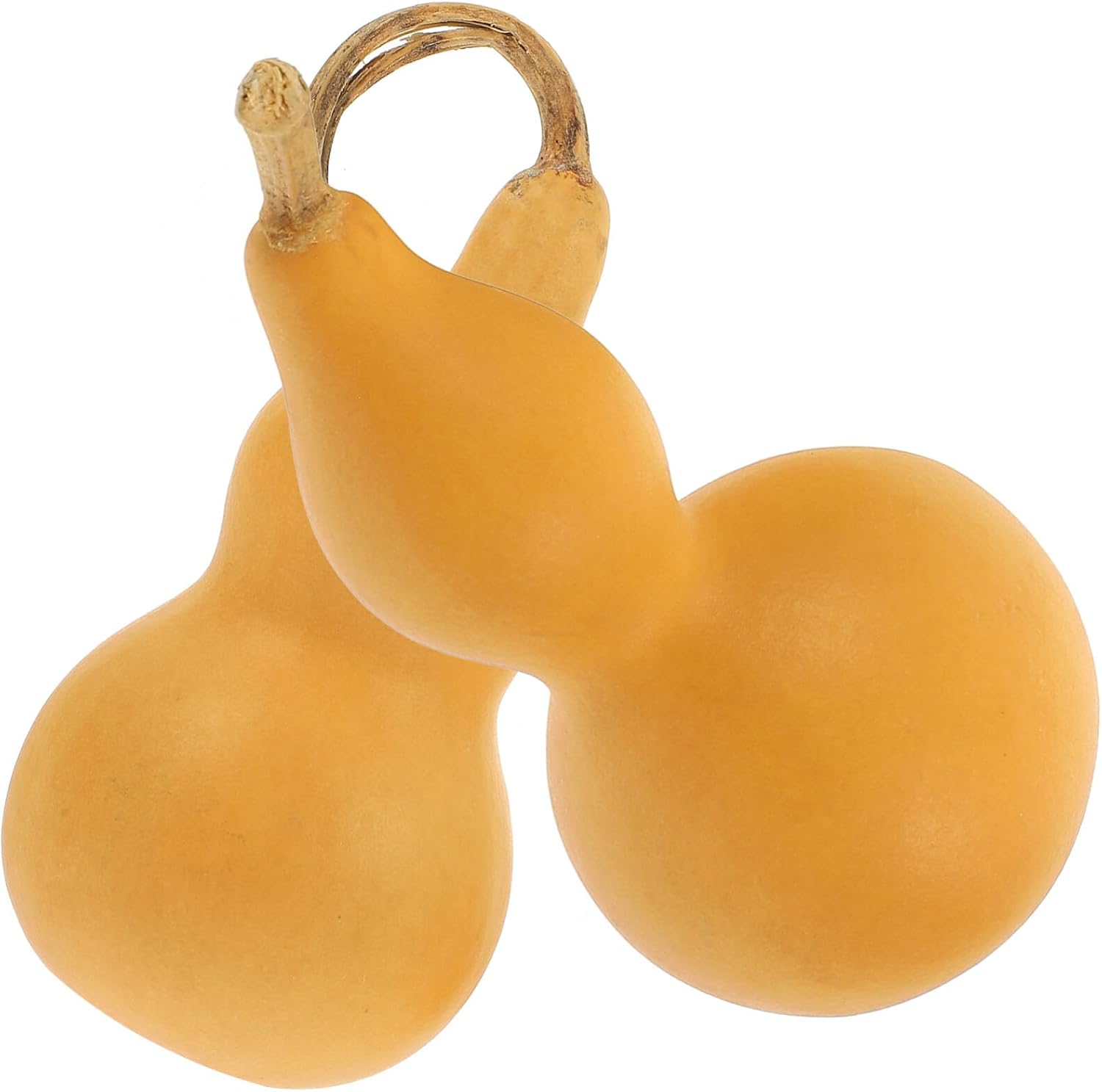 Amazon.com: HOMSFOU 2pcs Natural Gourd Natural Wu Chinese Pumpkin ...