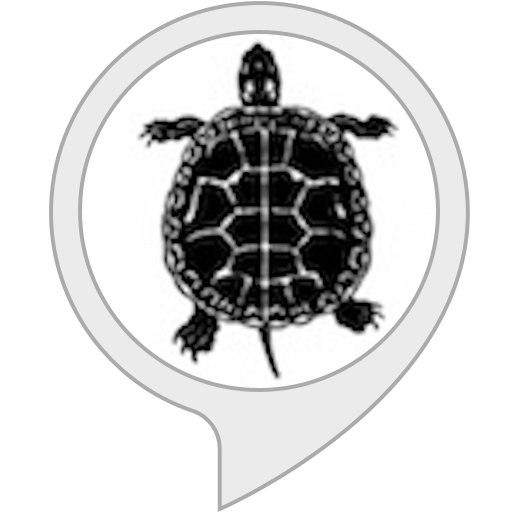 Amazon.com: Turtle Trivia : Alexa Skills