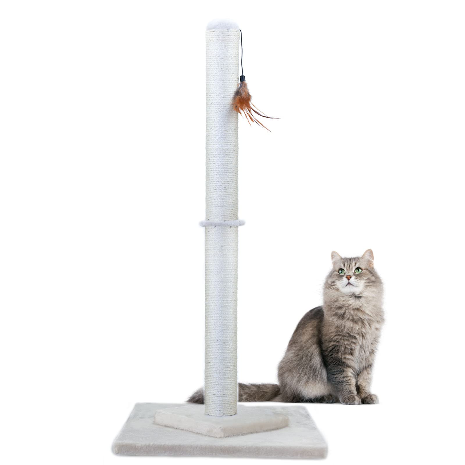Amazon.com : HUTPET 34" Tall Cat Scratching Post Double Base and ...