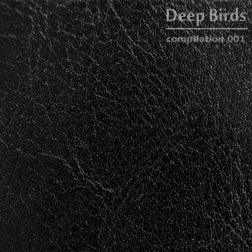 Amazon.com: Deep Birds (Compilation 001) : VARIOUS ARTISTS: Digital Music