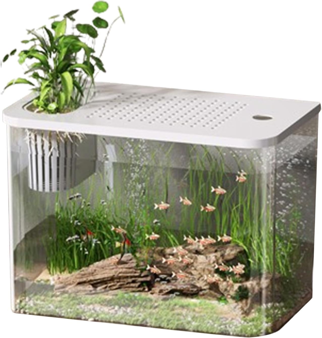 Betta Aquarium Starter Kit - Clear Fish Bowl With Compact Tank ...