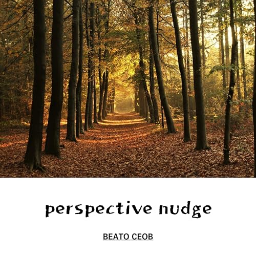 Play perspective nudge by BEAT CEOB on Amazon Music