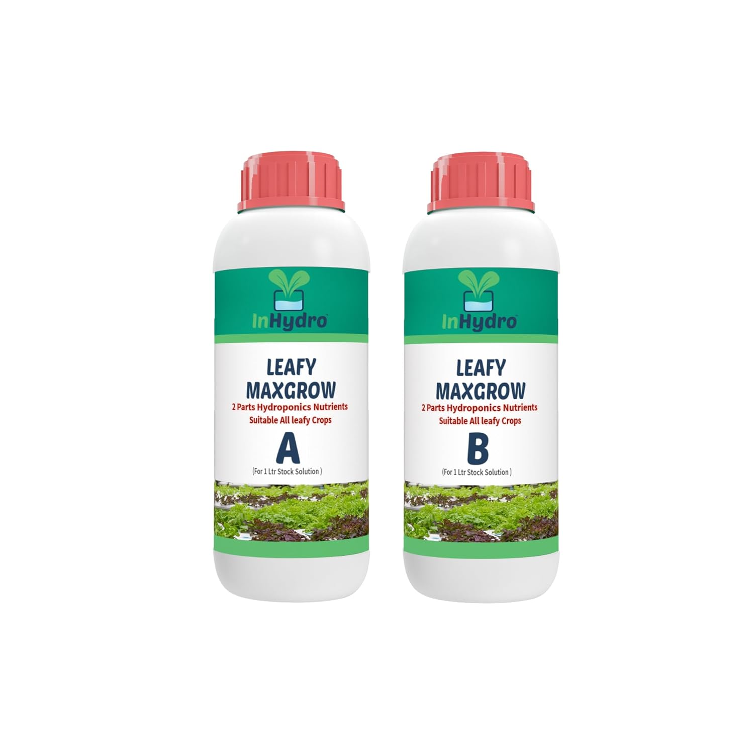 InHydro Leafy MaxGrow: Advanced Hydroponics Nutrient Solution for Leafy ...