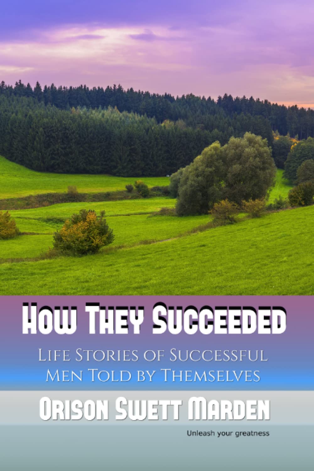 How They Succeeded: Life Stories of Successful Men Told by Themselves ...