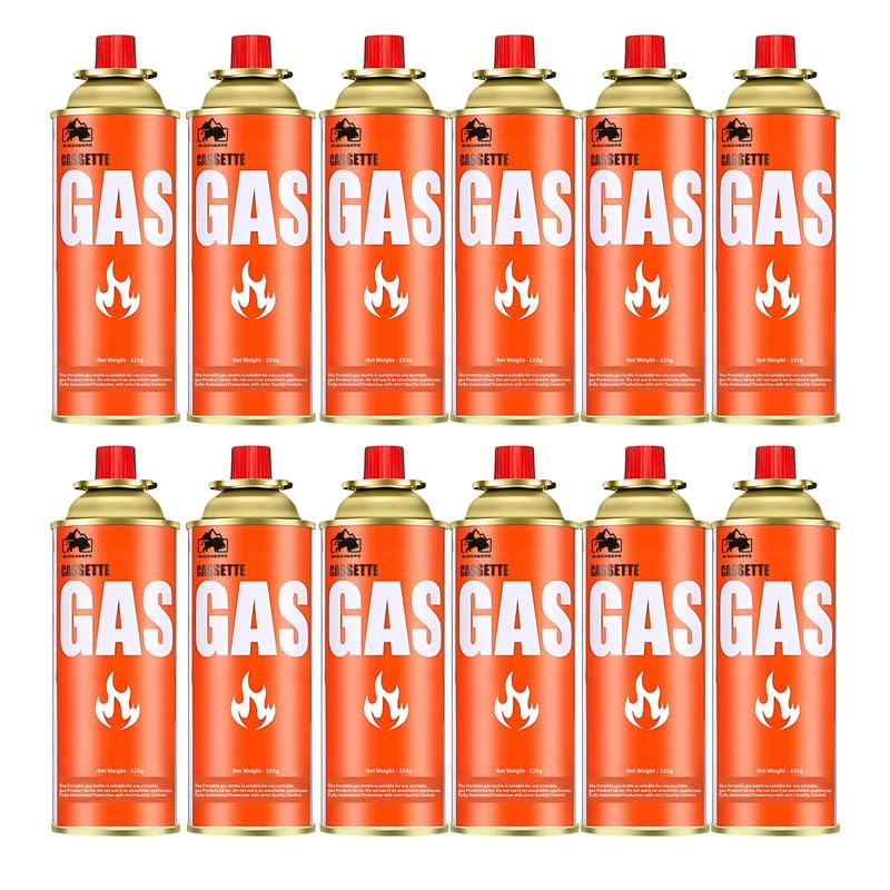 BisonBerg Aluminum Butane Gas Canister for Portable Gas Stove Chulha ...