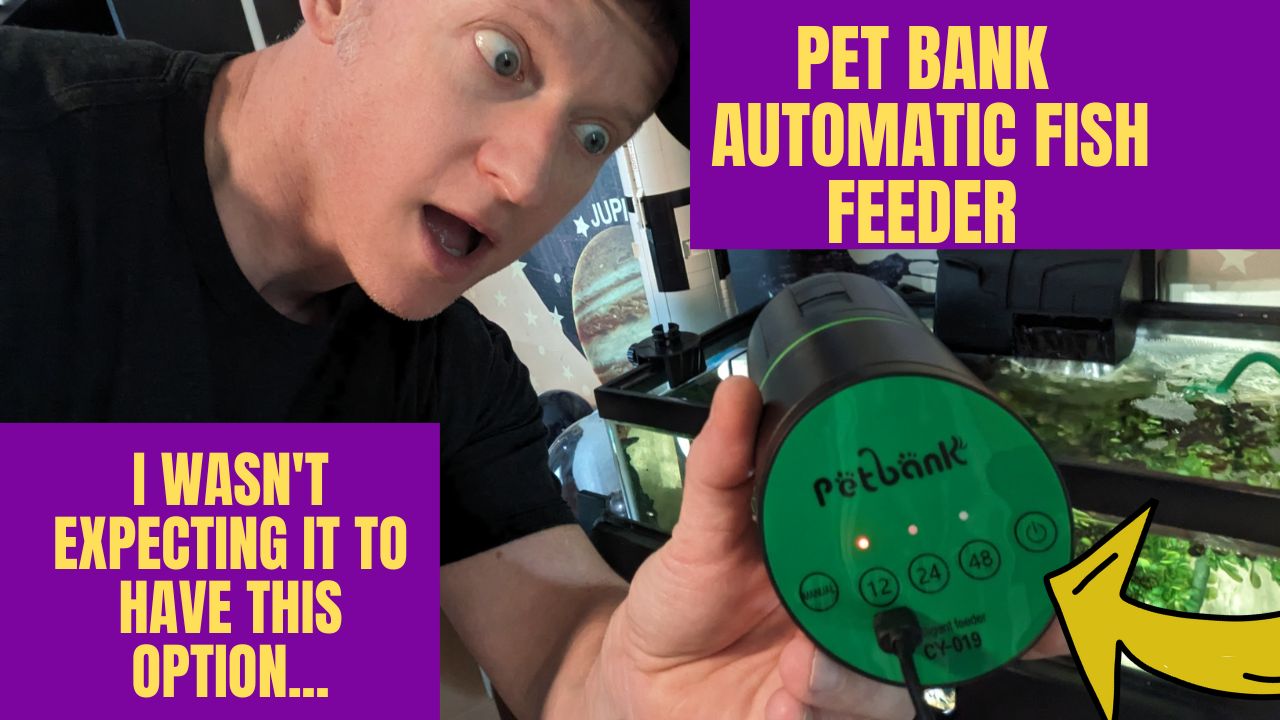Watch Pet Bank Automated Fish Feeder Overview & A Cool Feature on ...