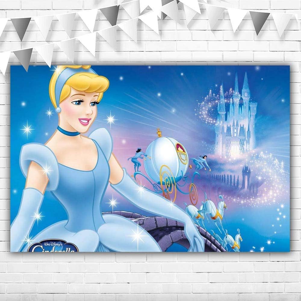 Amazon.com : VV Backdrop Princess Cinderella Backdrop for Birthday ...