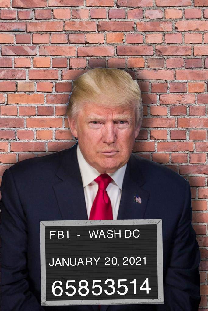 Amazon.com: Donald Trump Mugshot Funny Political Cool Wall Art Print ...