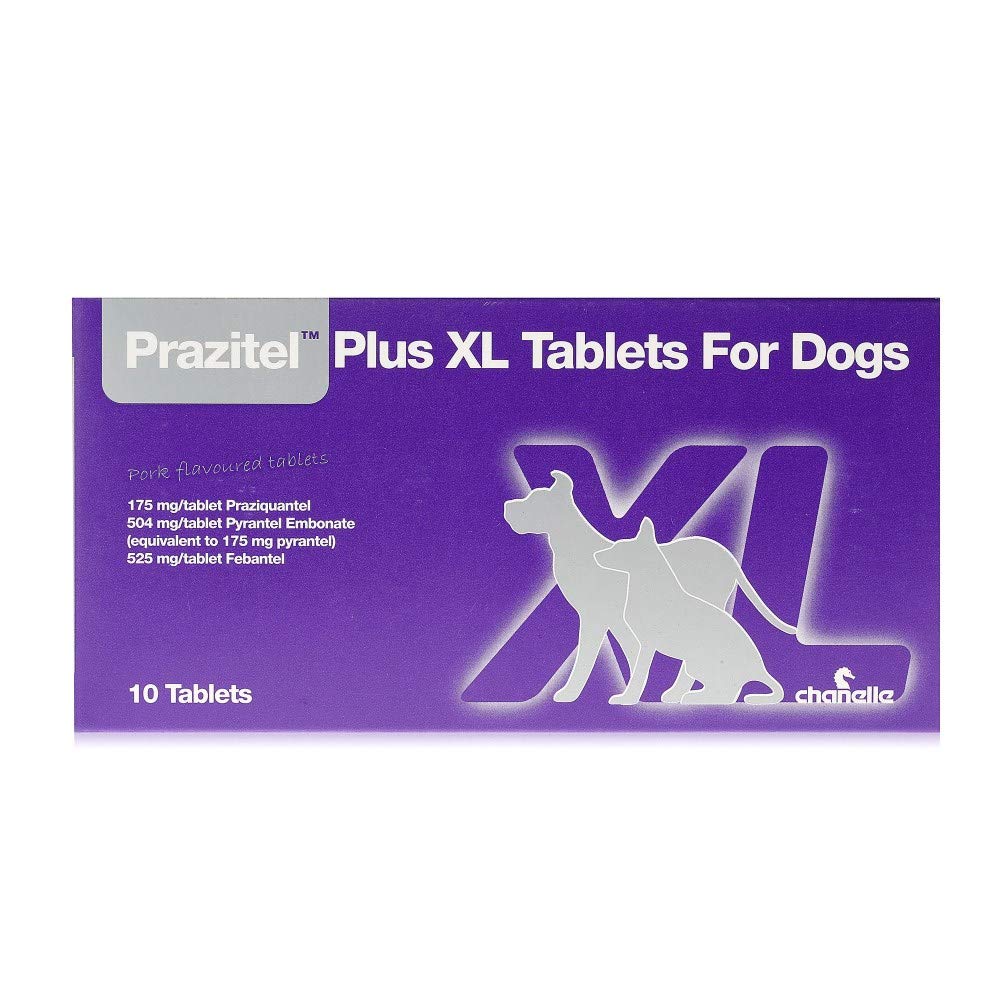 Prazitel Plus+ Extra Large Dog, Single tablet : Amazon.co.uk: Pet Supplies