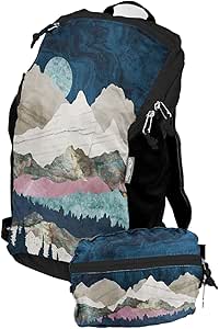 Amazon.com: ChicoBag Travel Pack rePETe Recycled Backpack w/Built-In ...