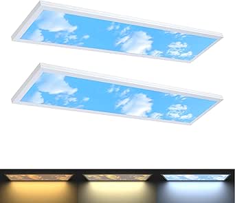 AIKVSXER 2 Pack 1x4 LED Sky Panel Light Surface Mount 50W 5500Lm Triac ...