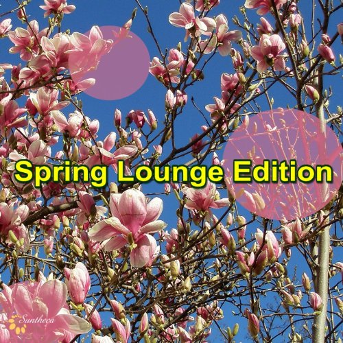 Play Spring Lounge Edition by VARIOUS ARTISTS on Amazon Music