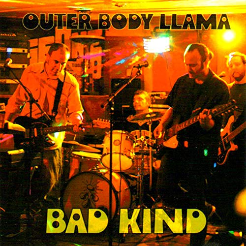 Amazon.com: Bad Kind : Outer Body Llama: Digital Music