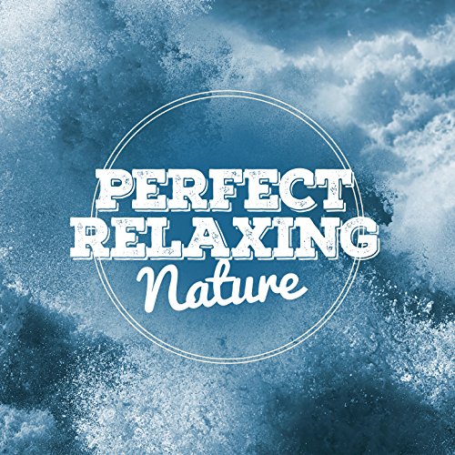 Perfect Relaxing Nature : Relaxing Nature Ambience: Amazon.de: Digital ...