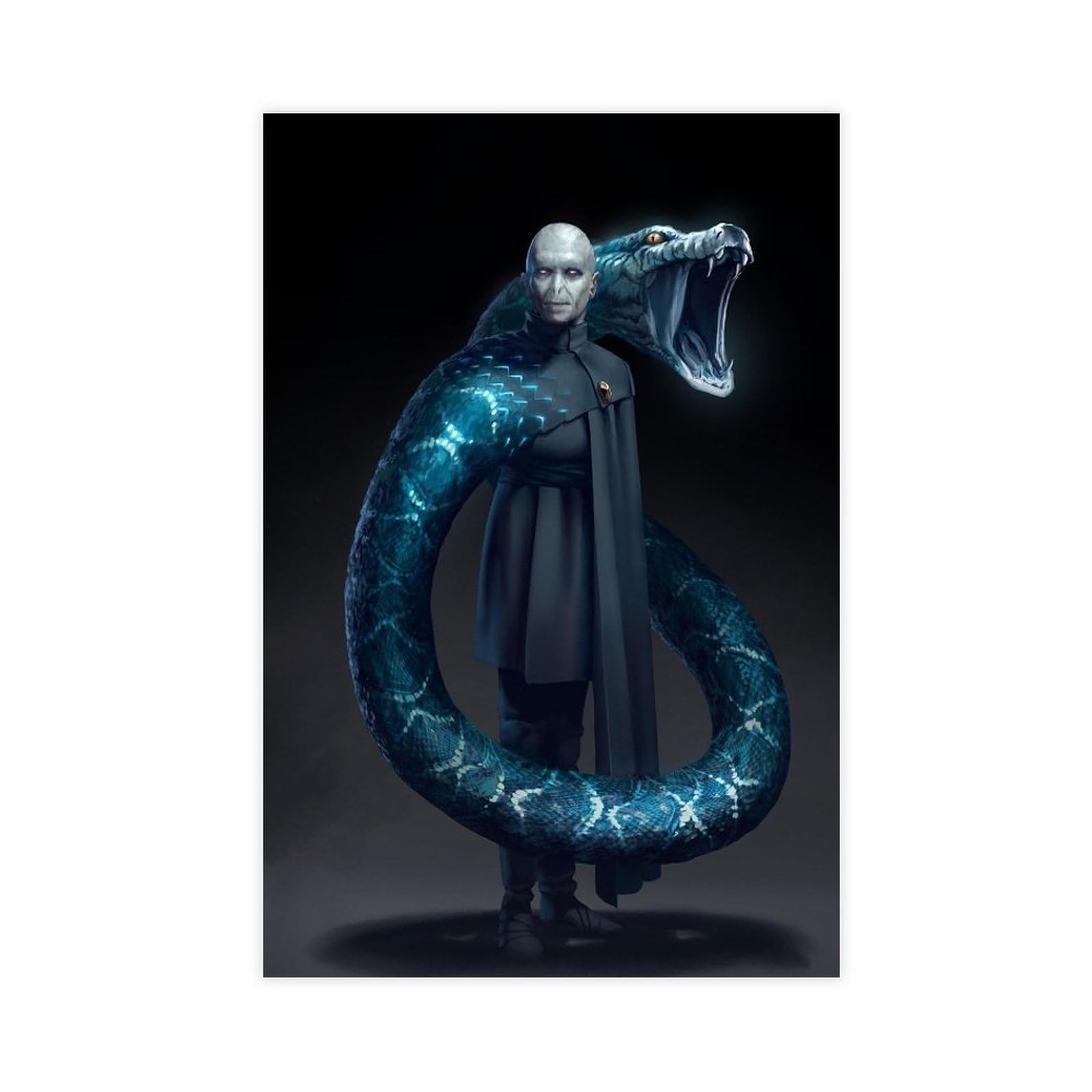 Lord Voldemort Harry Potter Illustrations Harry Potter Blvnk