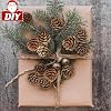 Amazon.com: 100 Pack Pine Cones, Mini Natural Pine Cones for Christmas ...