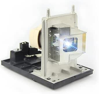 Amazon.com: GZWOG 20-01175-20 Premium Quality Replacement Projector ...