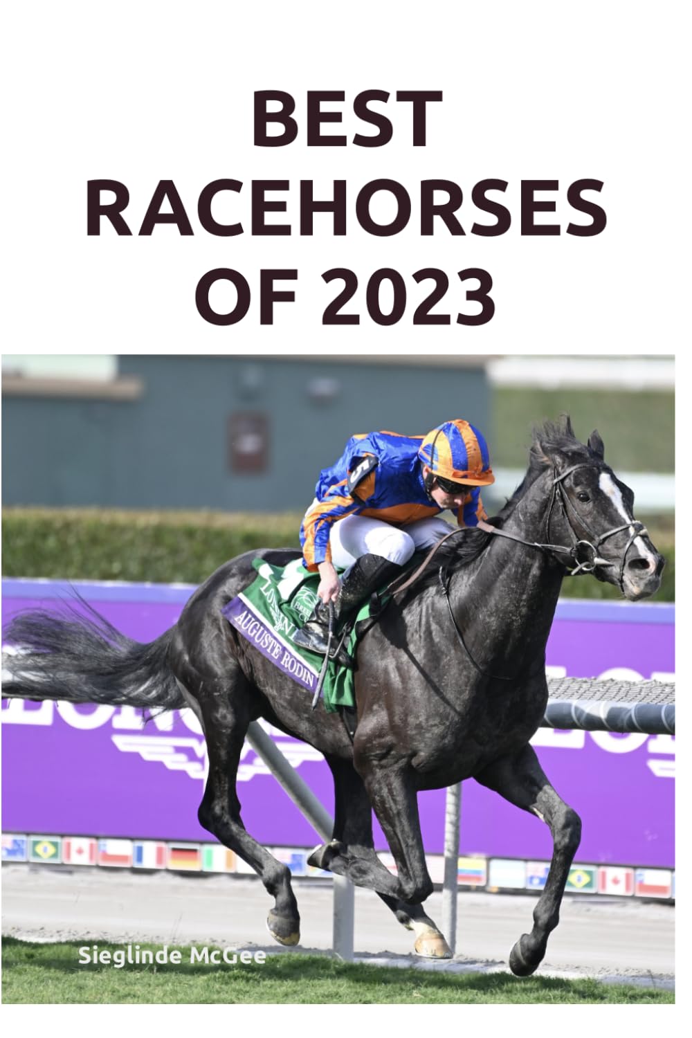 Amazon | Best Racehorses of 2023 | McGee, Dr Sieglinde | Miscellaneous