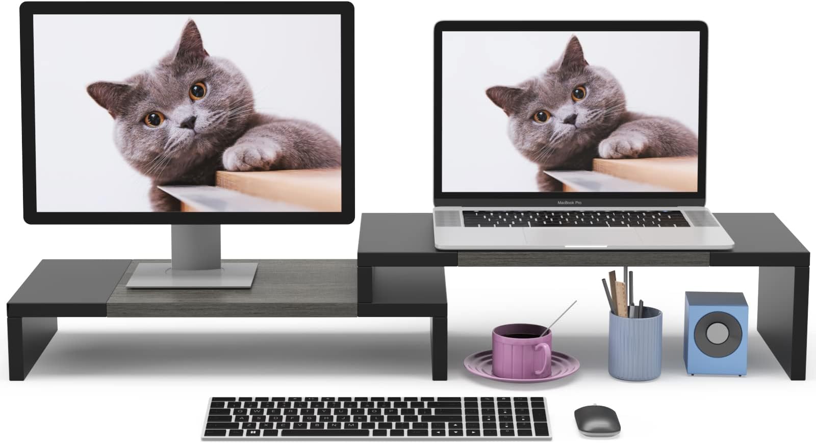 Amazon.com: WESTREE Dual Monitor Stand Riser - 2 Shelf Computer Stand ...