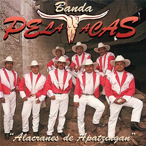 Amazon Music - Banda PelavacasのAlacranes de Apatzingan - Amazon.co.jp