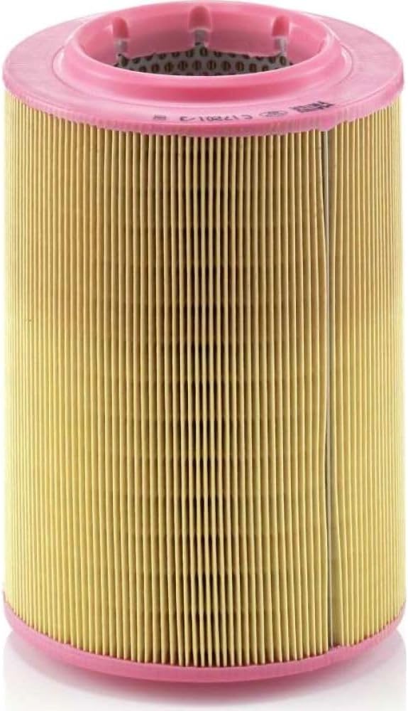 Amazon.com: Mann Filter Mann-Filter C 28 191 Air Filter : Automotive