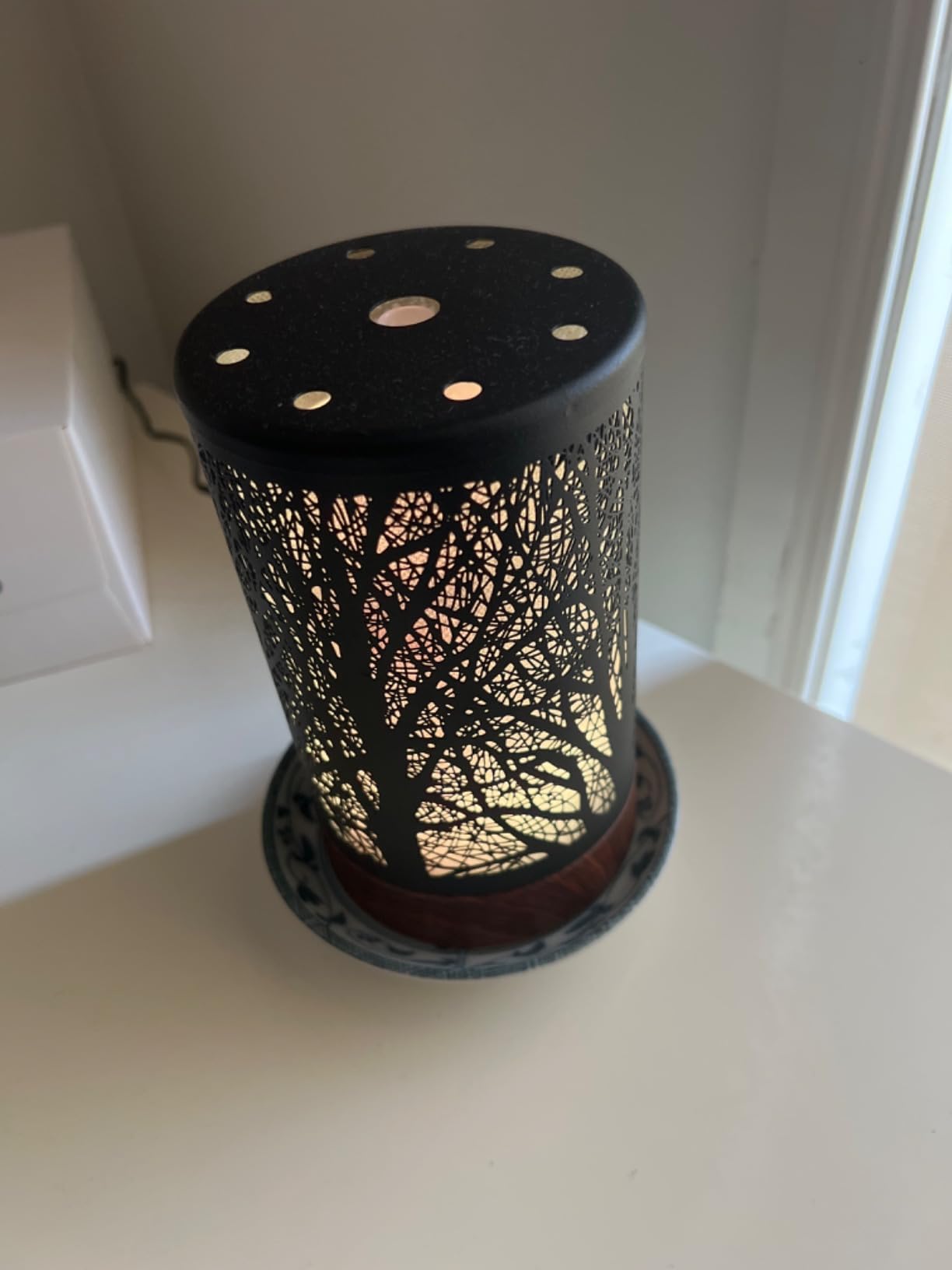 Aromatherapy Essential Oil Diffuser, Metal Cover Oil Diffuser ...