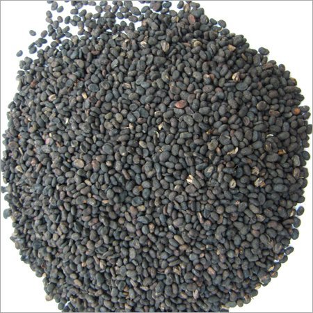 Noble Mart Natural Babchi Babachi Bakuchi Seed Psoralea Corylifolia ...