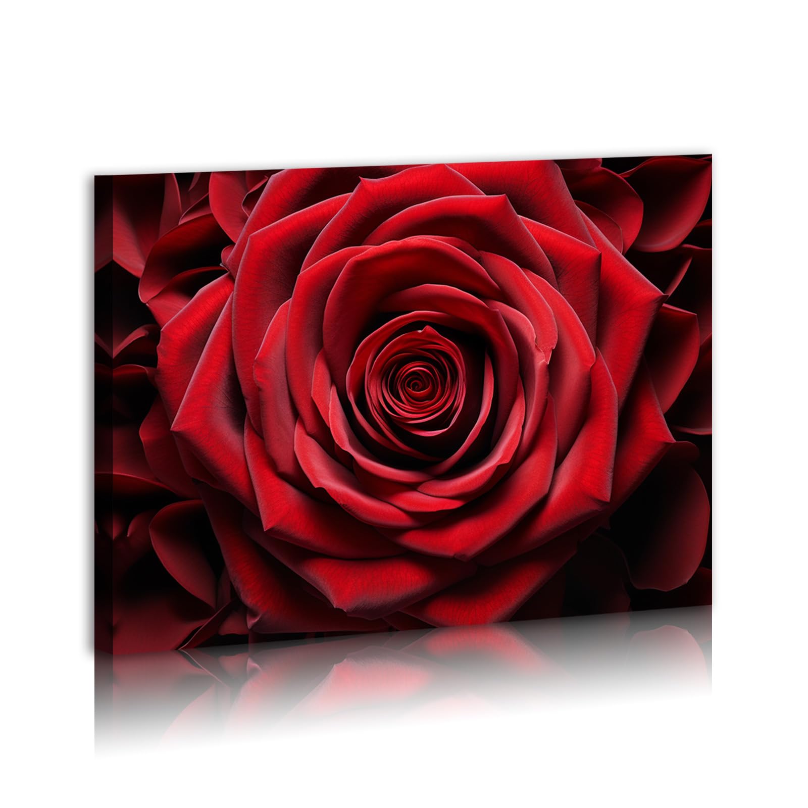 Amazon.com: Red Rose Close Up Detail Modern Framed Flowers Giclee ...