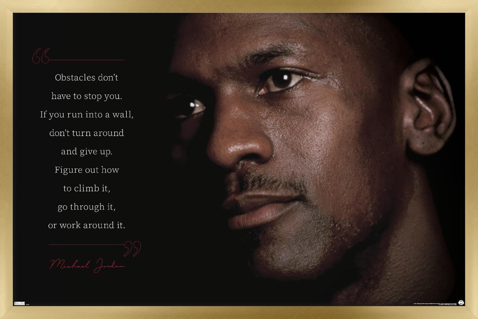 Amazon.com: Trends International Michael Jordan - Obstacles Wall Poster ...