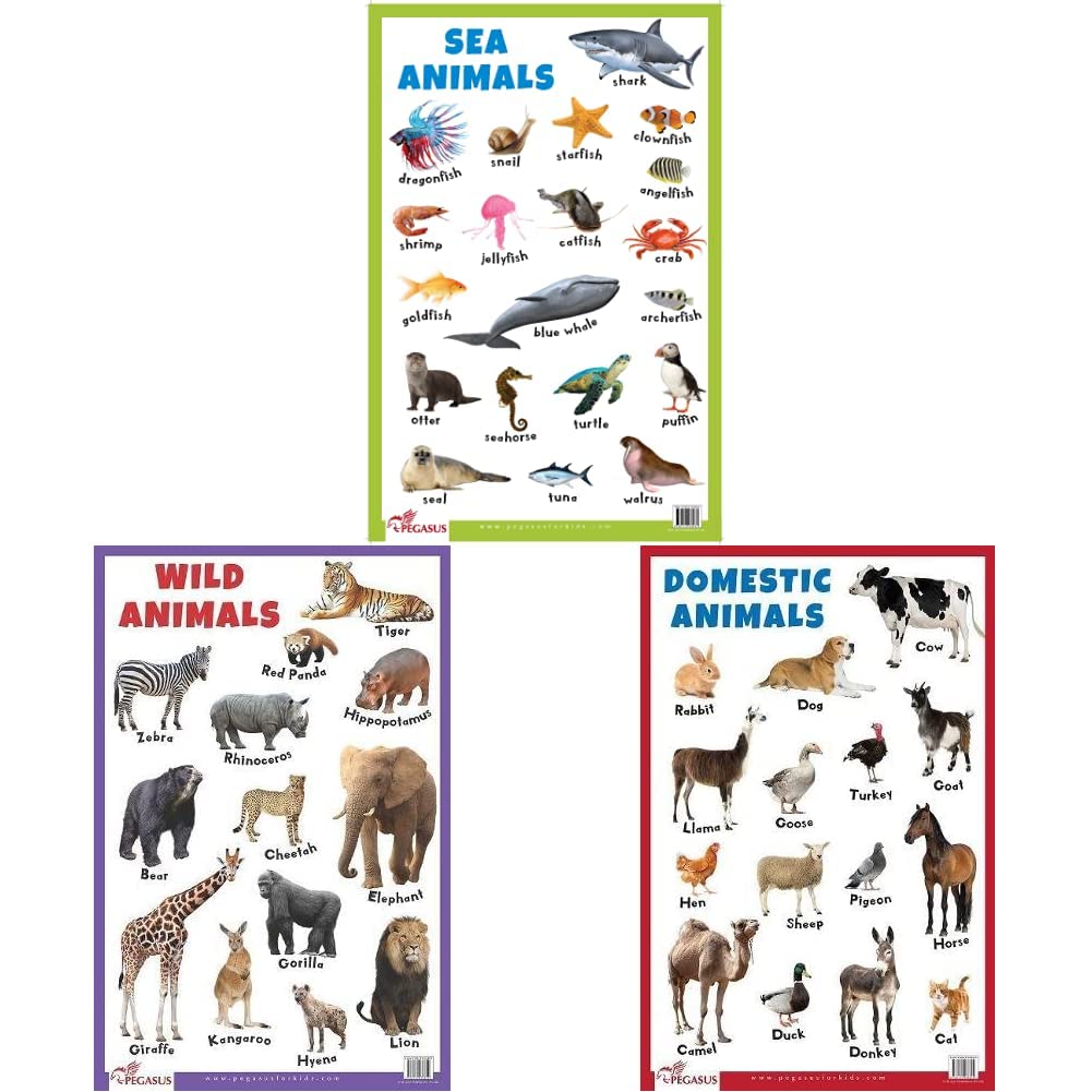 Sea Animals Thick Laminated Primary Chart Wild Animals Thick Laminated ...