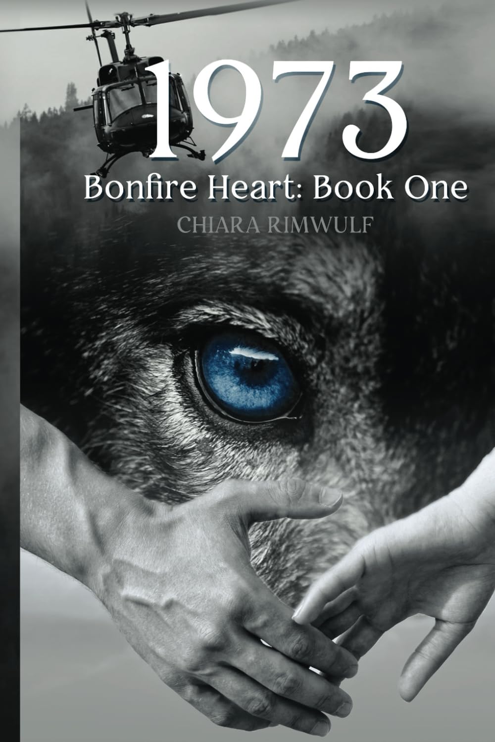 1973: Bonfire Heart Book One: Rimwulf, Chiara: 9780639753744: Amazon ...